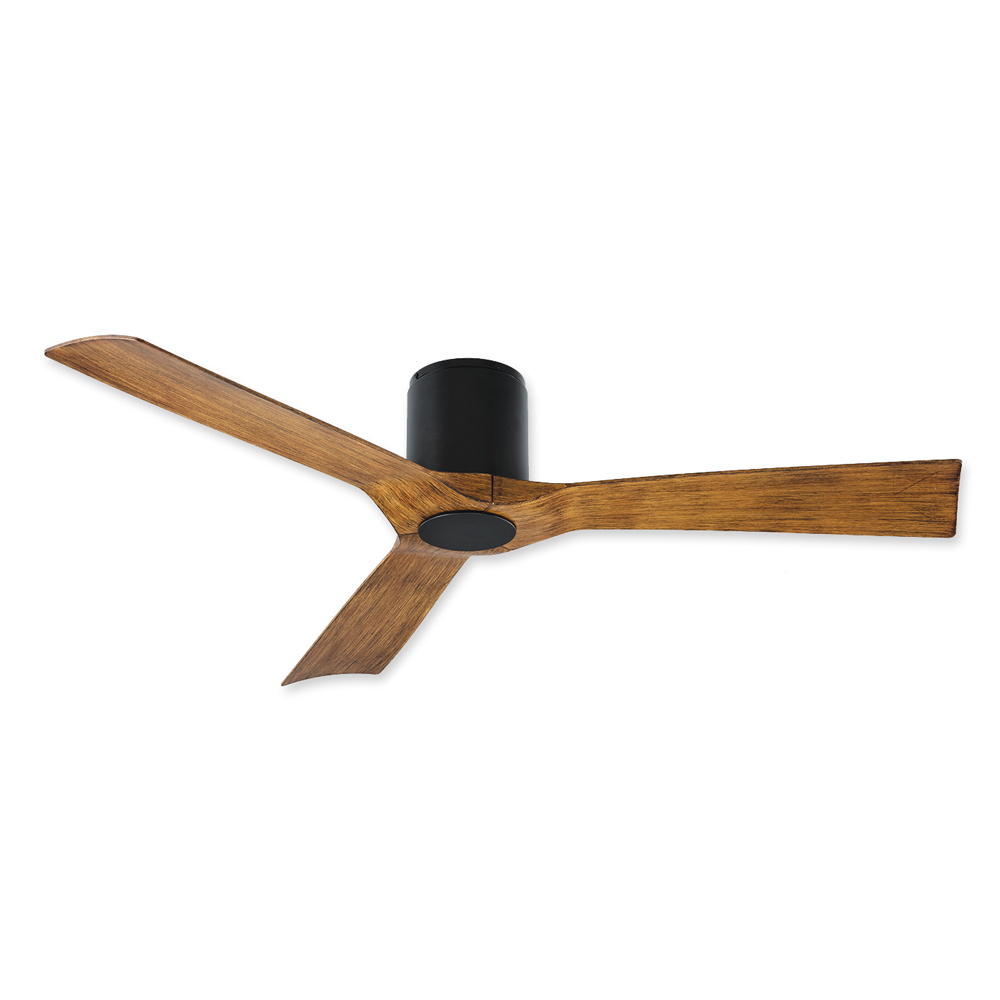 Airplane Ceiling Fan